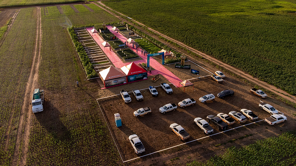 Canarana/MT 2022 - Sumitomo Chemical Brasil