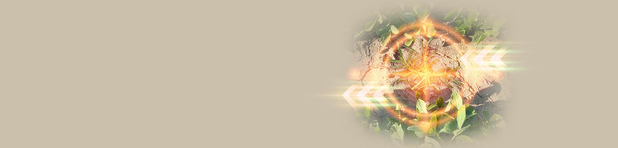 ZethaMaxx®Evo - Sumitomo Chemical Brasil - 2025